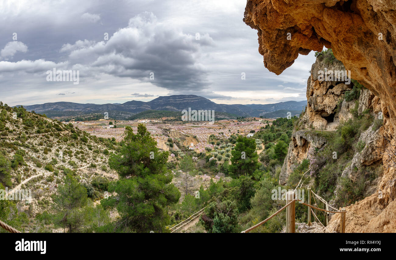 Gigapan of valley with almond trees in bloom and track Stock Photo - Alamy