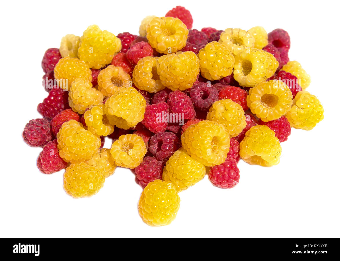 Handful of red and yellow raspberries isolated on white background ...