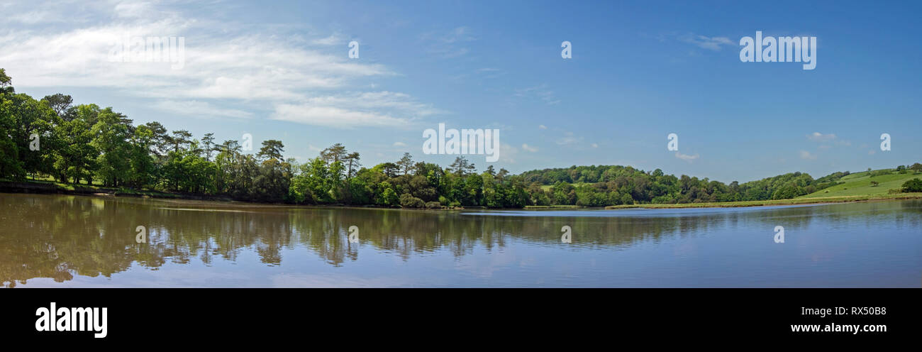 Tiddy hi-res stock photography and images - Alamy