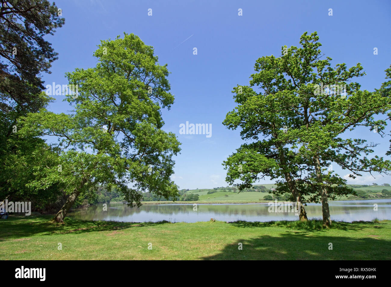 Tiddy house hi-res stock photography and images - Alamy