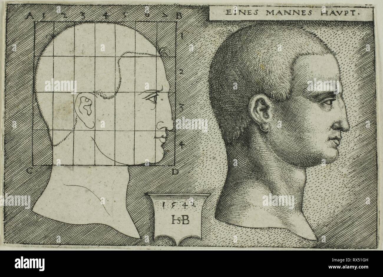 Profile Study of Man's Head. Sebald Beham; German, 1500-1550. Date ...