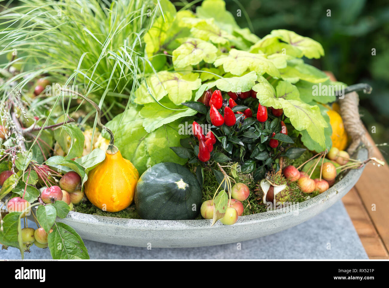 Plant vessel hi-res stock photography and images - Alamy