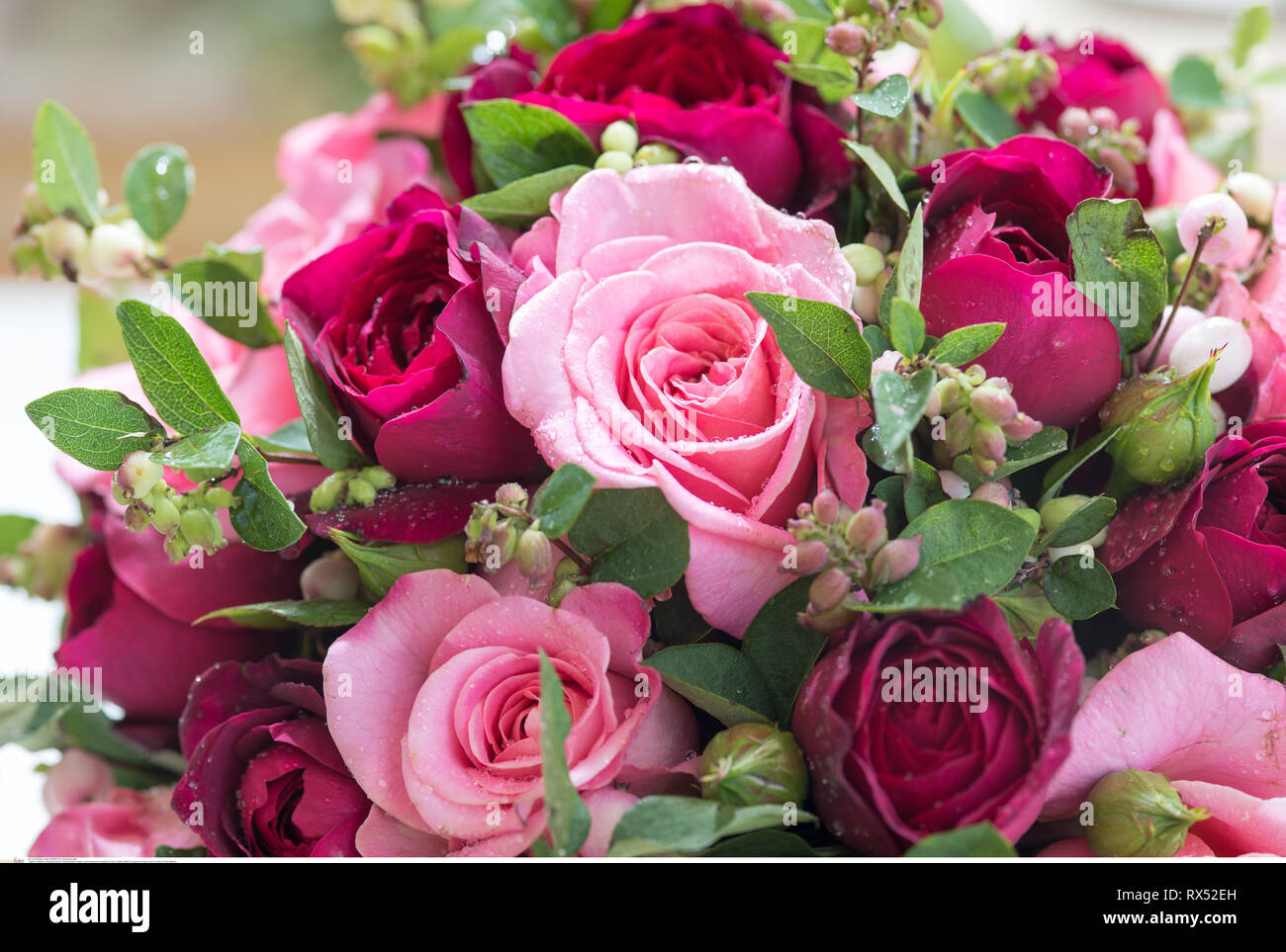 Round Roses High Resolution Stock Photography and Images - Alamy