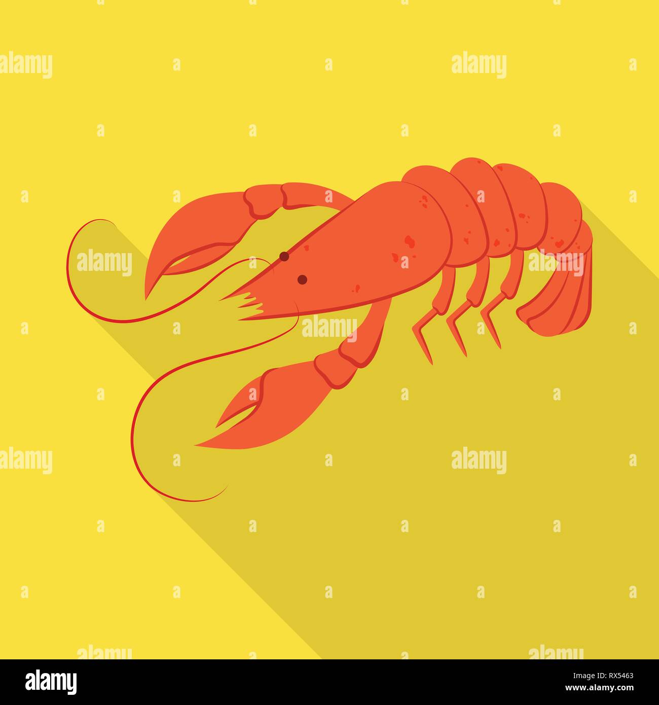 aquatic,beach,cooked,luxury,shrimp,crab,food,sea,lobster,red,boiled ...