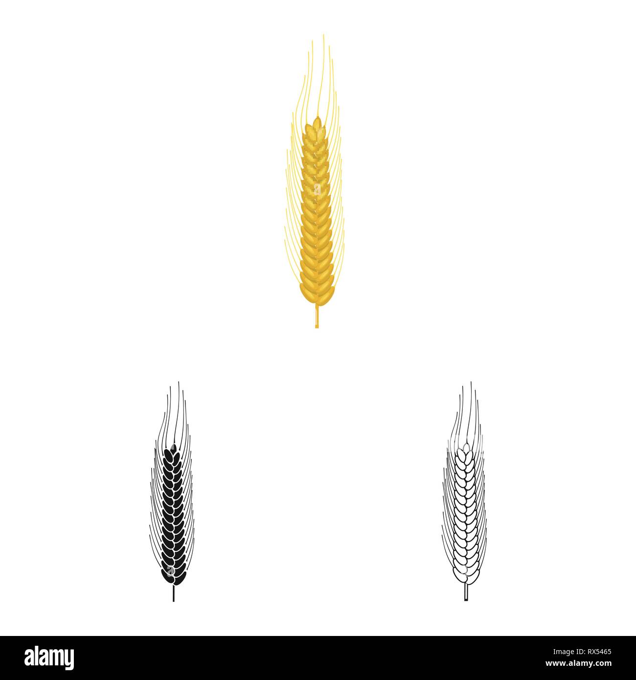 Crop cornfield Stock Vector Images - Alamy