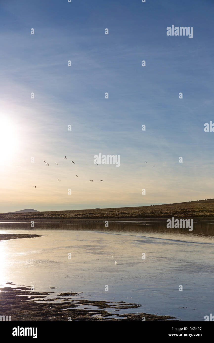 Sunset in Andes. lagoon Huayacota. High Andean landscape in the Andes ...