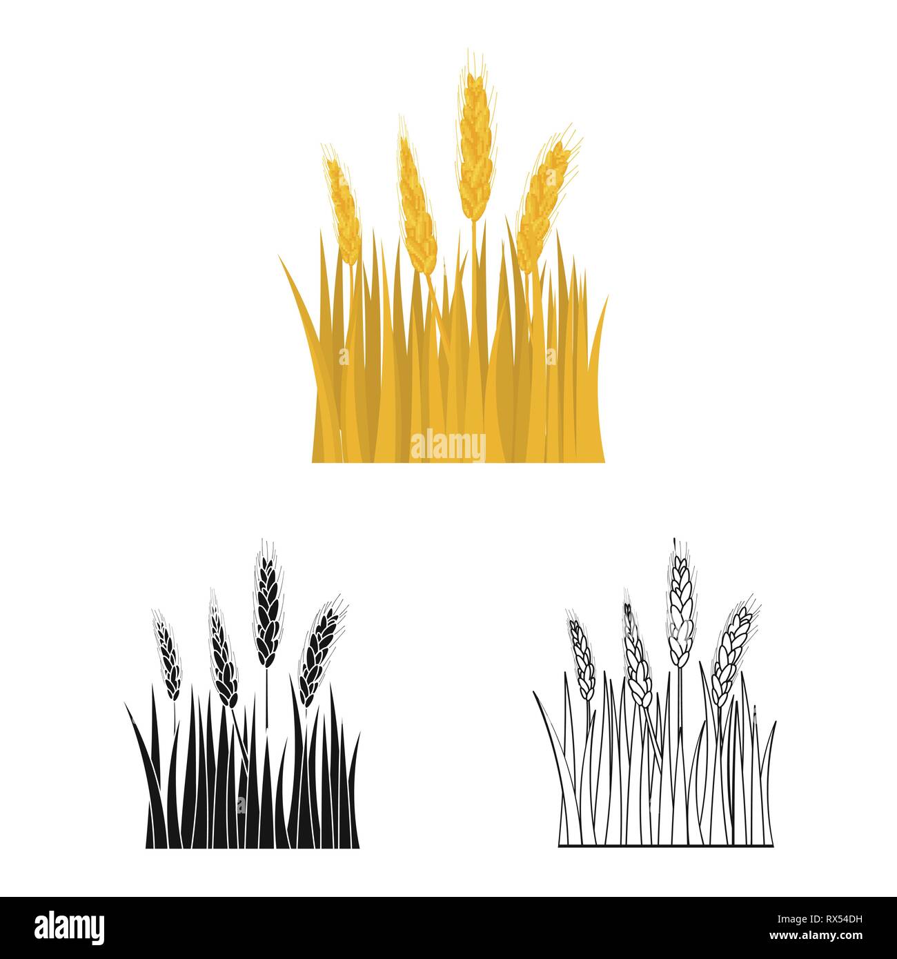 spring,spike,barley,land,cornfield,crop,countryside,autumn,ripe,bread ...