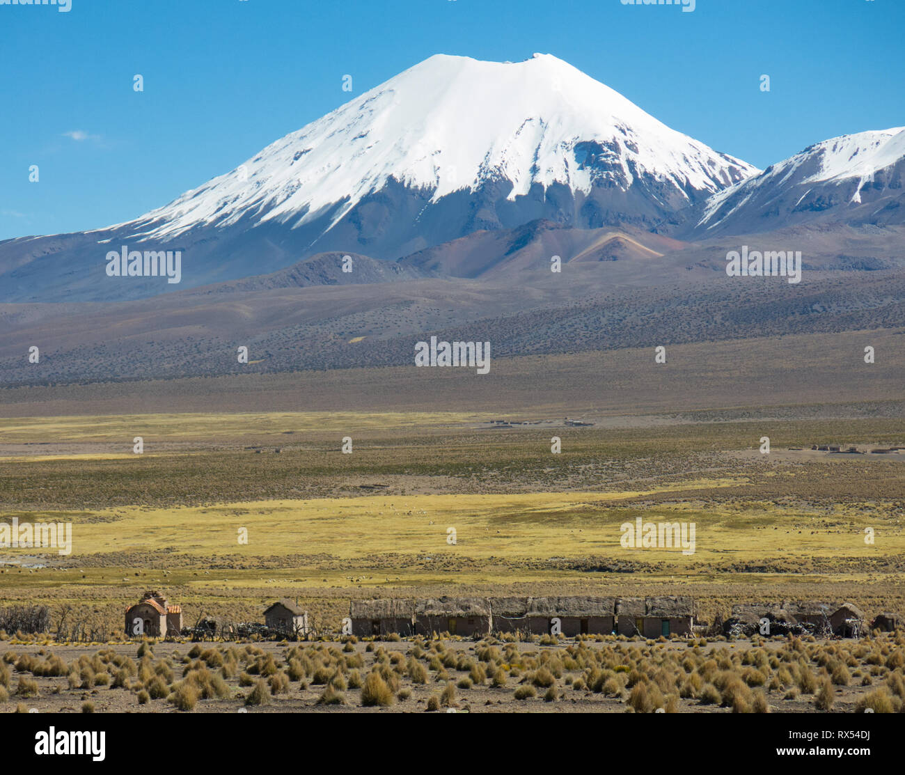 Parinacota volcano. High Andean landscape in the Andes. High Andean ...