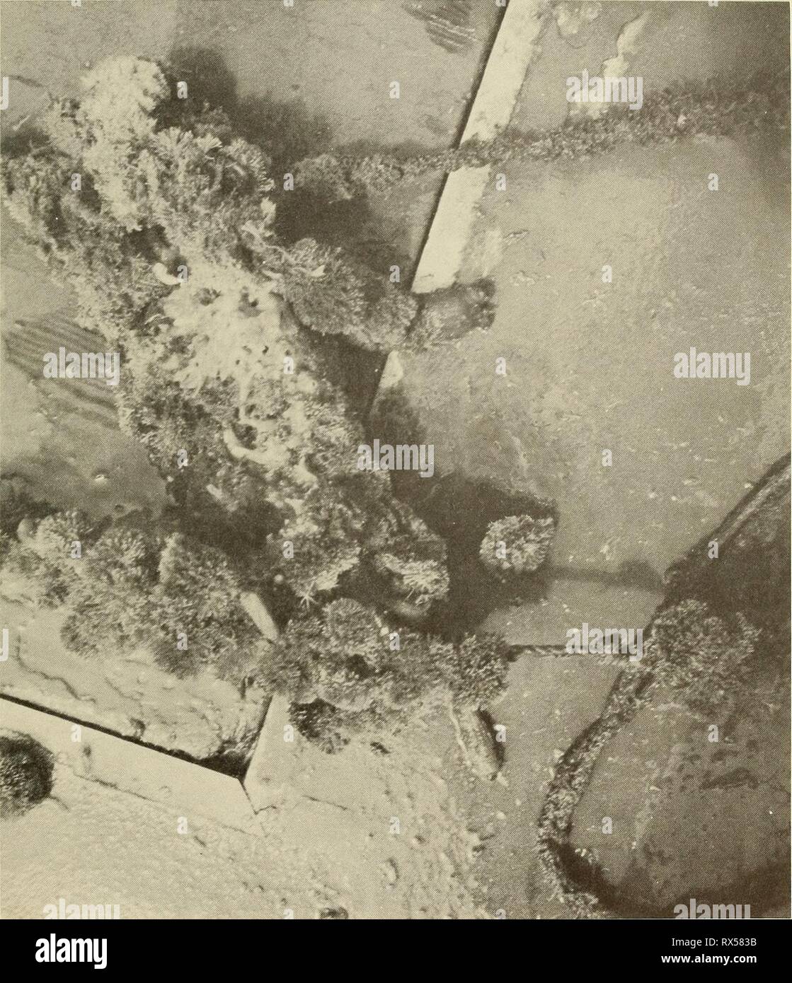 Effects of deep- and shallow-ocean Stock Photo - Alamy