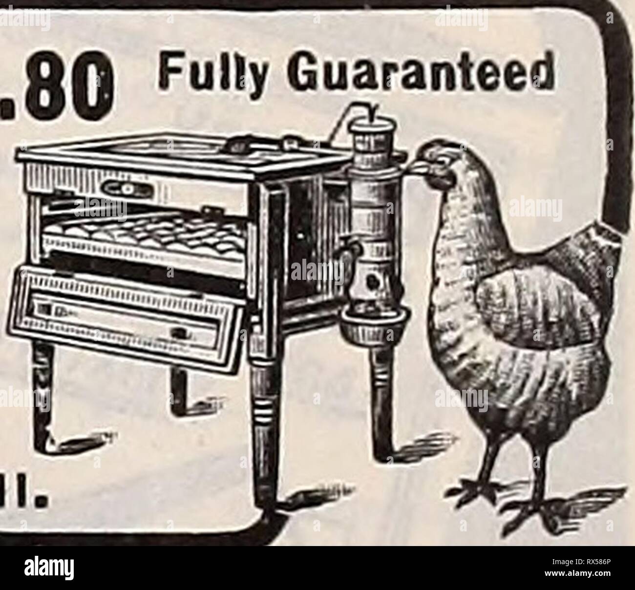 The Eastern poultryman (1903 Stock Photo - Alamy
