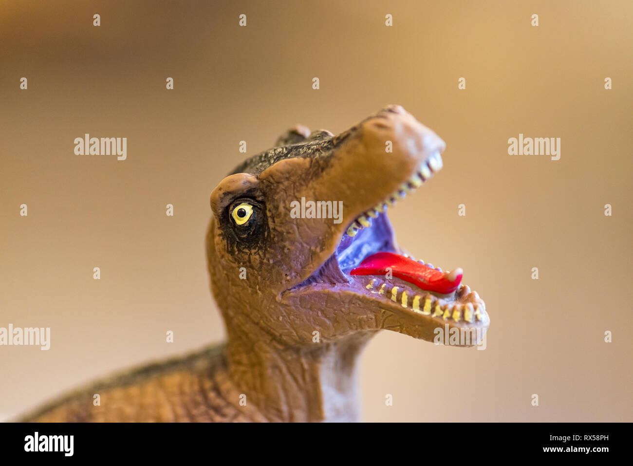 T rex teeth kids hi-res stock photography and images - Alamy