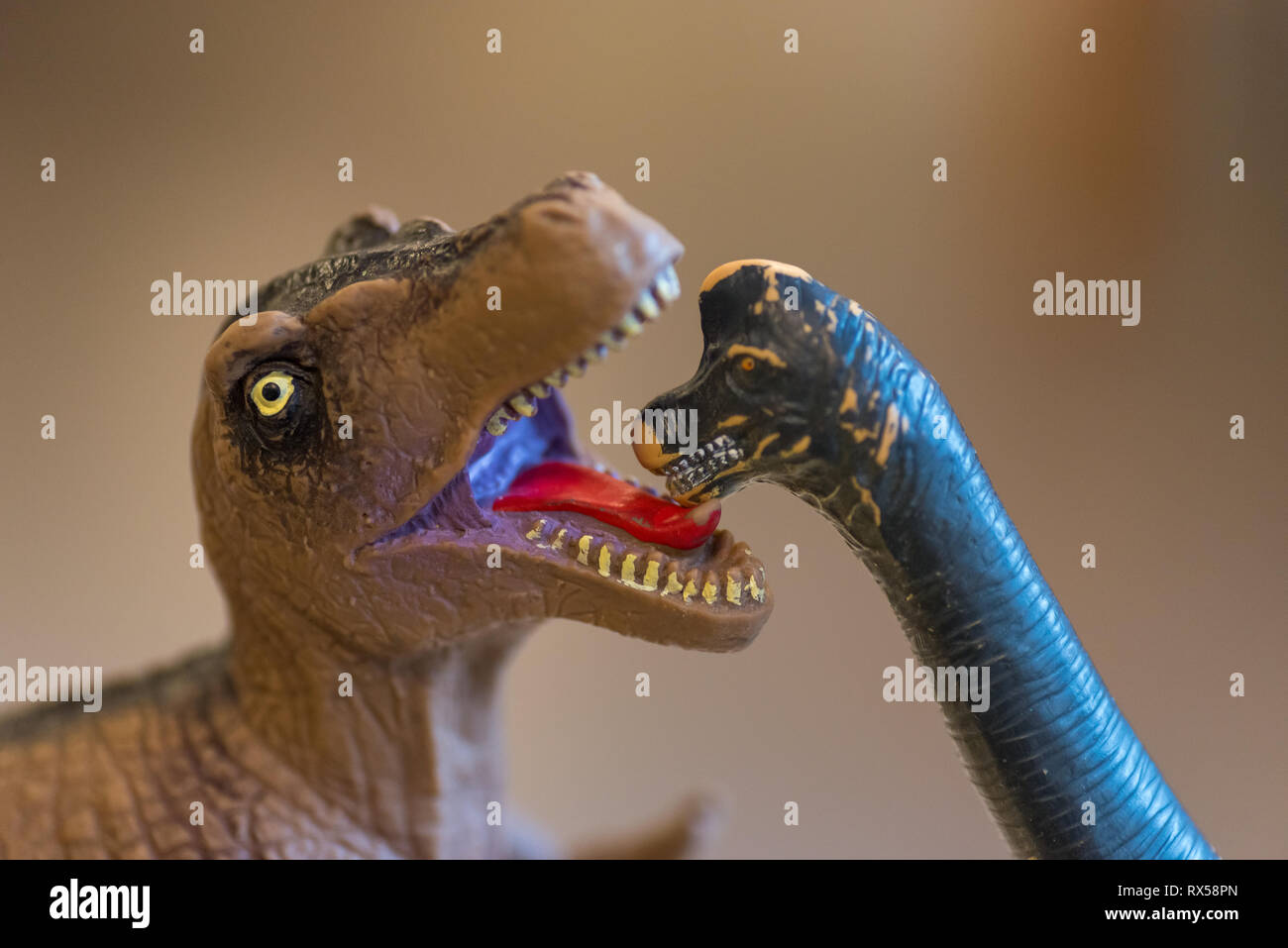 plastic t rex toy for children indoors at a open preschool Stock Photo ...