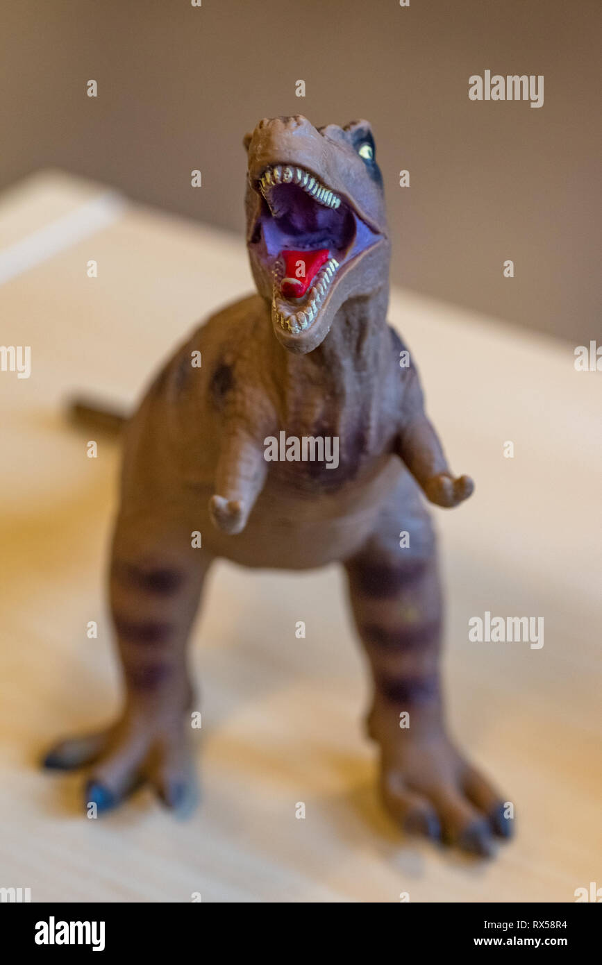Kinder t rex hi-res stock photography and images - Alamy