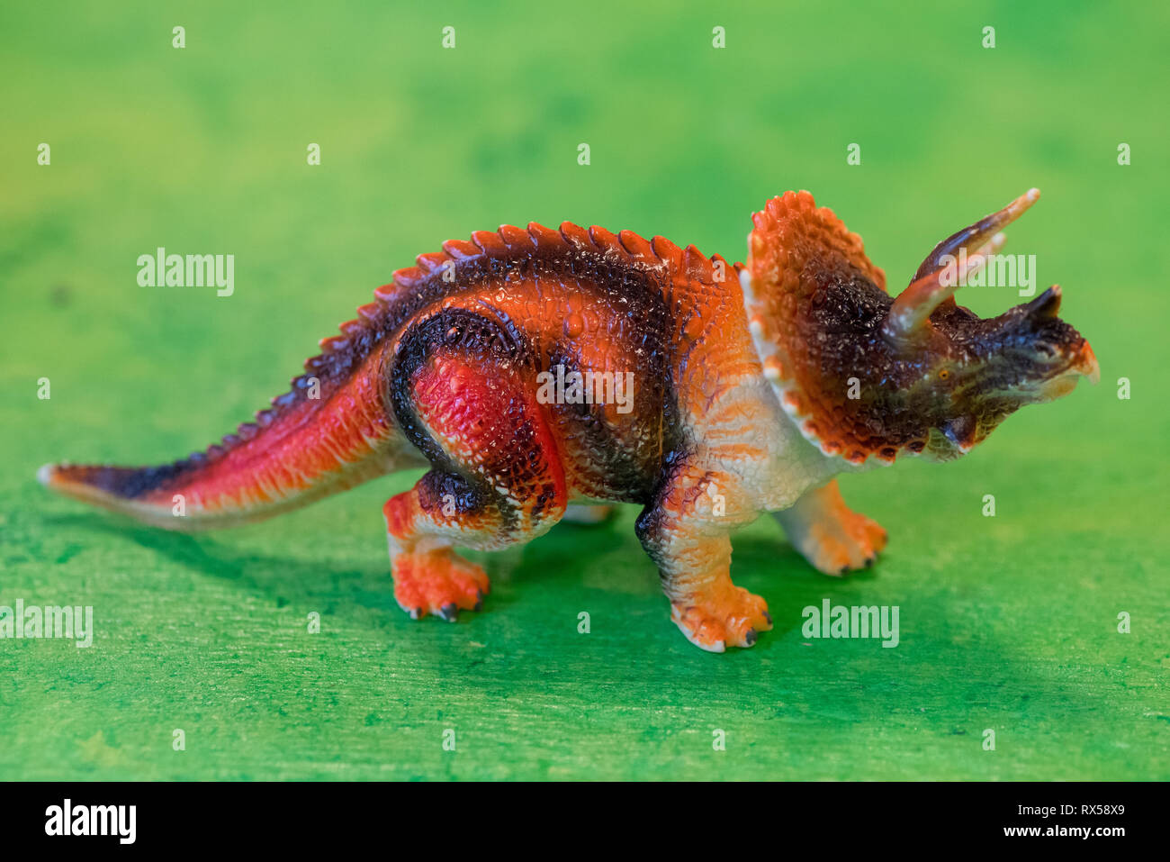 Anchiceratops hi-res stock photography and images - Alamy