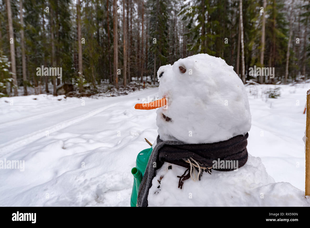 Snowman Carrot Nose High Resolution Stock Photography and Images - Alamy