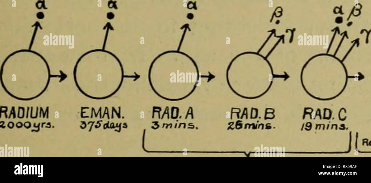 Effects of the rays of Effects of the rays of radium on plants ...