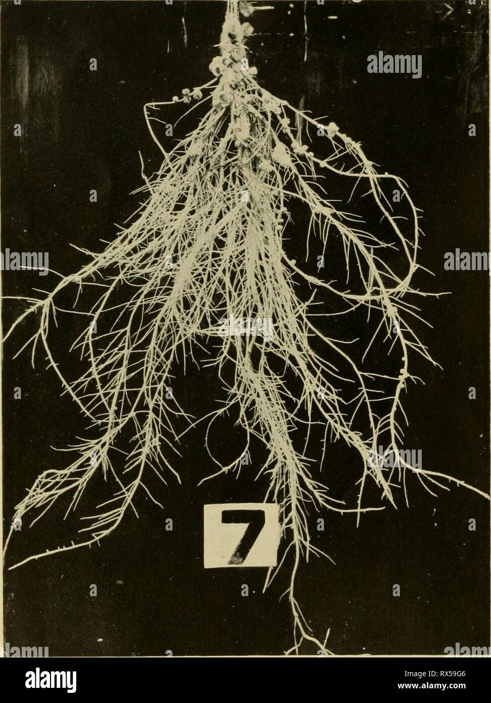 Effect of different reactions on Stock Photo - Alamy