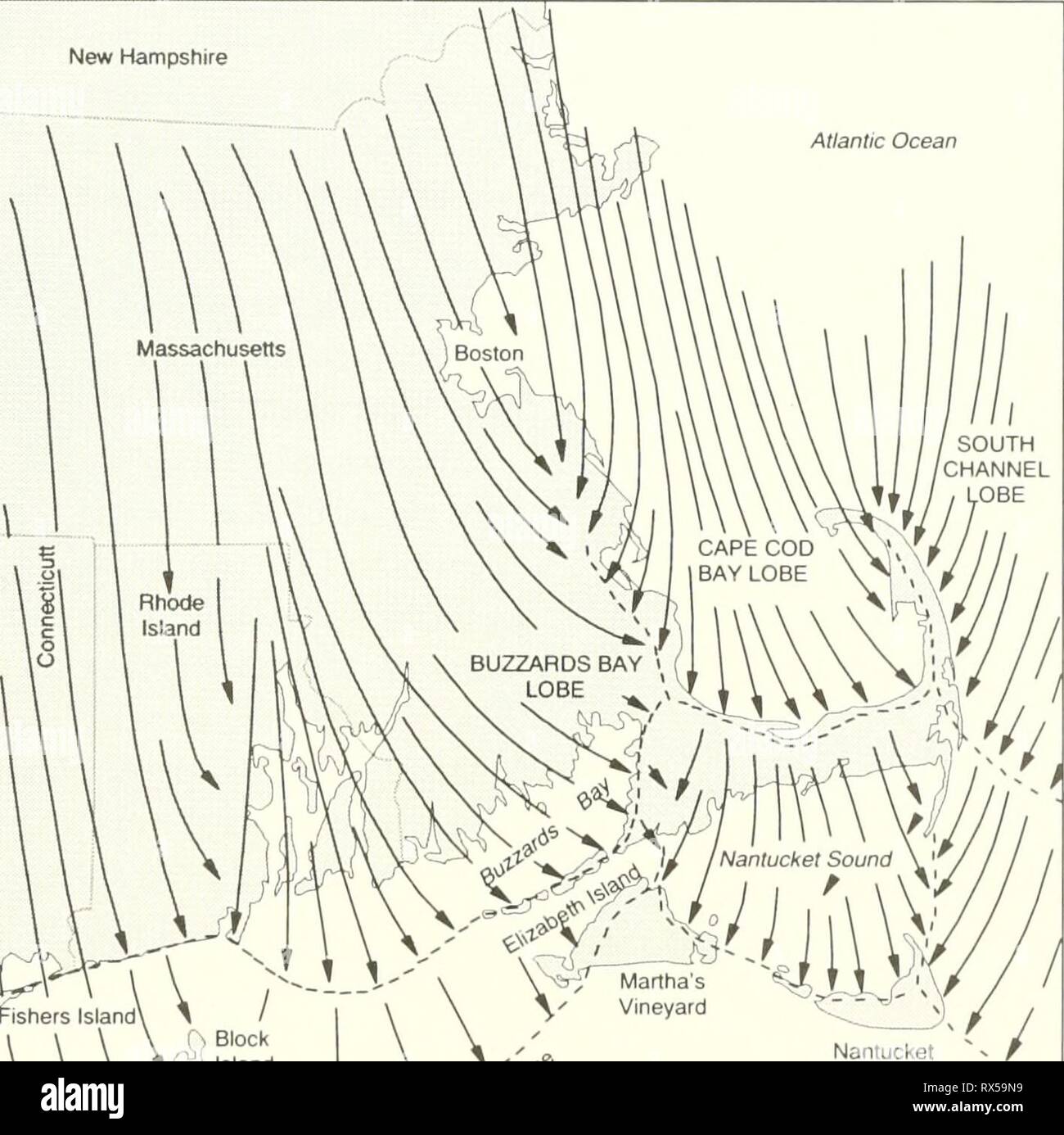 Ecology of Buzzards Bay Stock Photo - Alamy