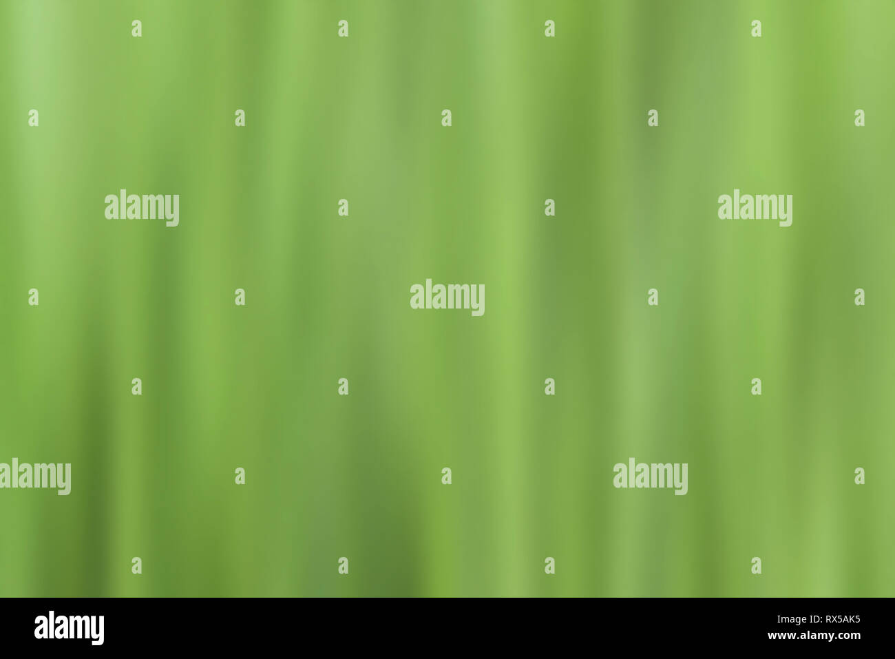 Abstract green background. Gradient defocused abstract background Stock ...