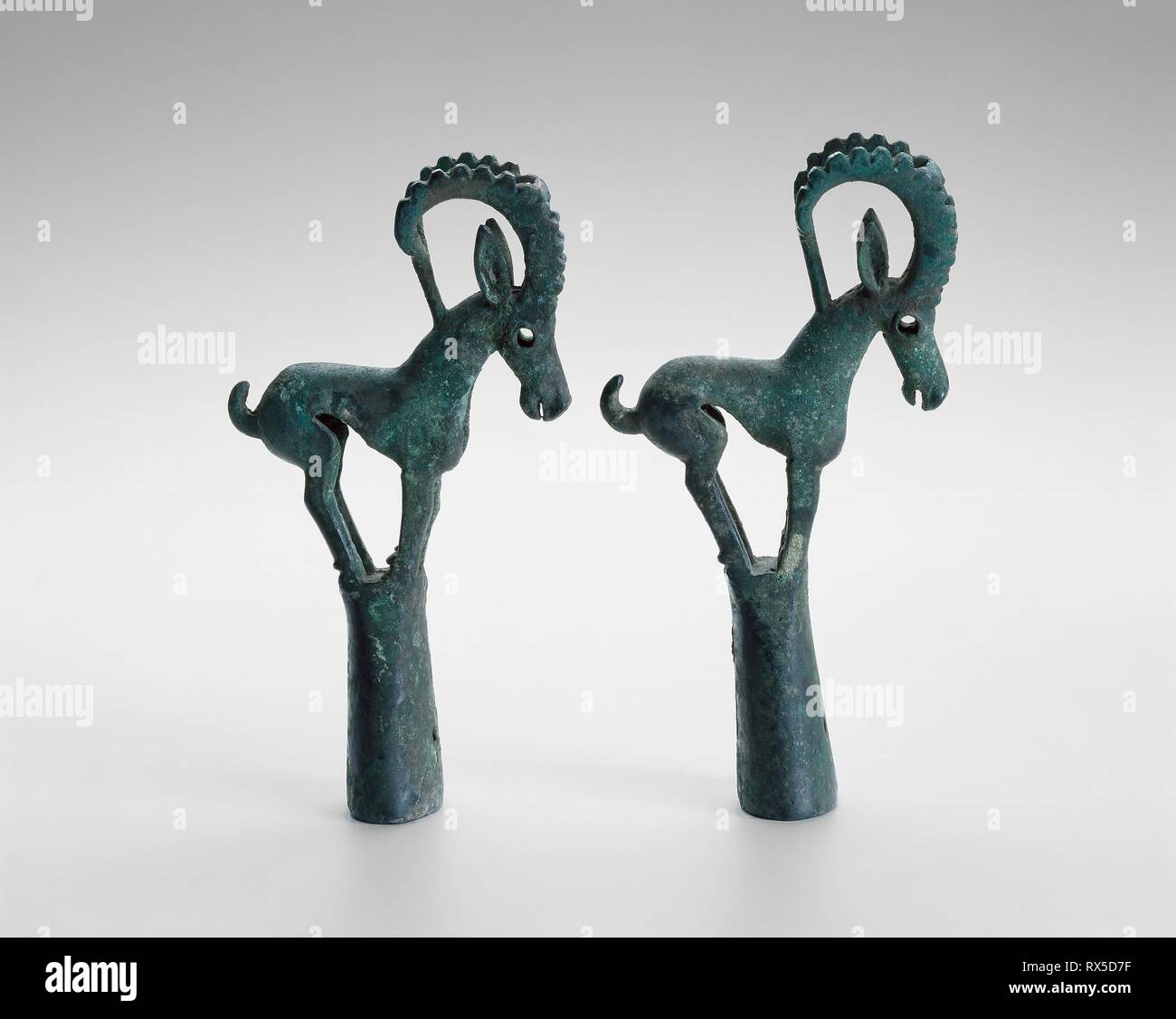 Asian Ibex High Resolution Stock Photography and Images - Alamy