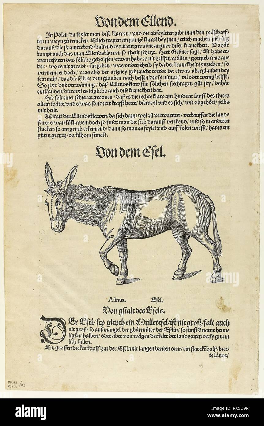 Illustration from "Thierbuch", plate 42 from Woodcuts from Books of the ...