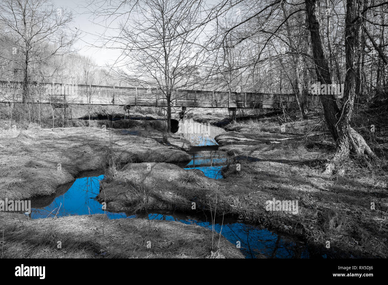 Photography Emphasis Color