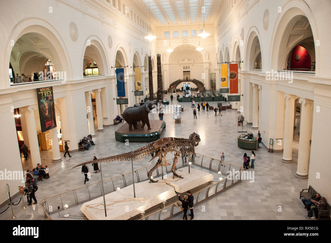 America, United States, Illinois, Chicago, The Field Museum of Natural ...