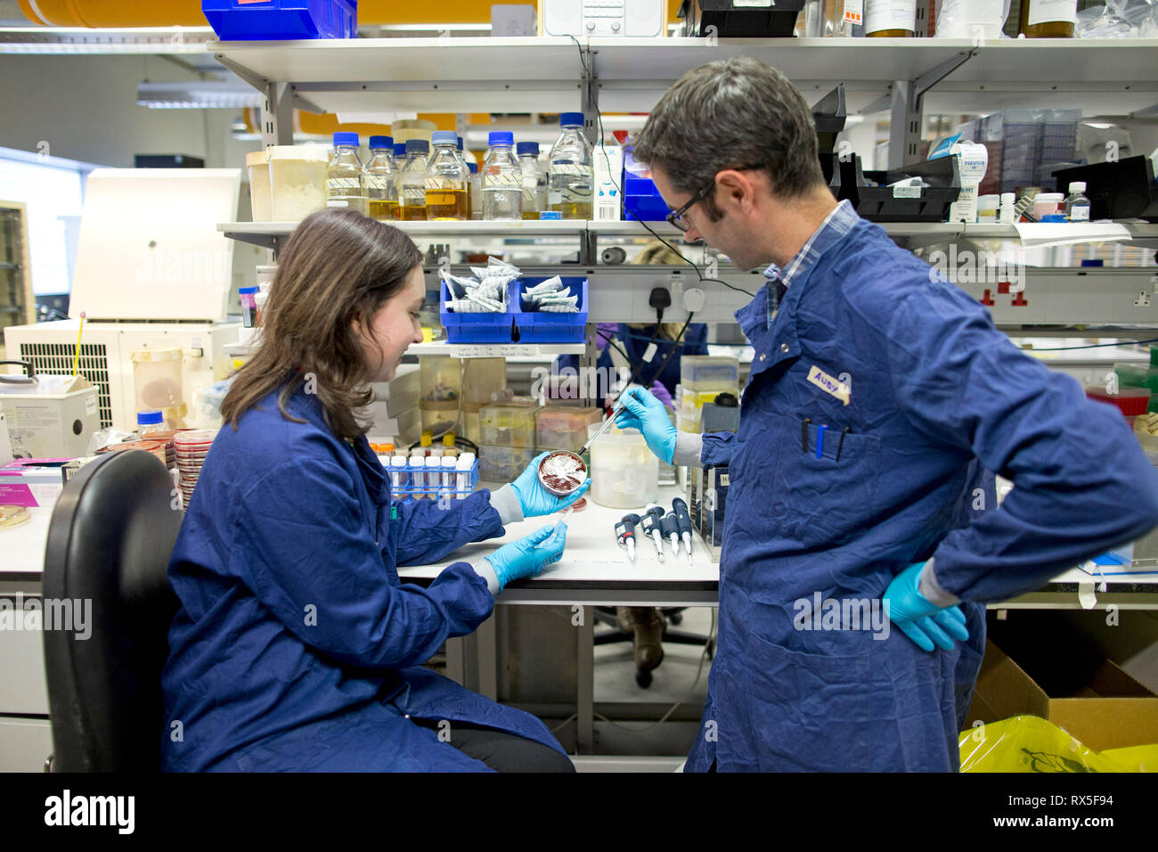 Imperial College London Students Stock Photos & Imperial College London ...