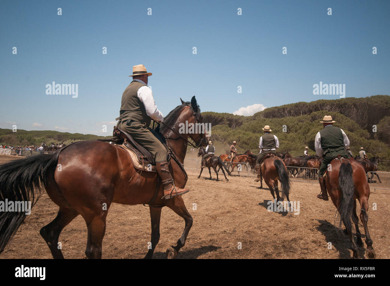 Europe, Italy, Latium, Tarquinia, Game Fair, Italian cowboy, butteri ...