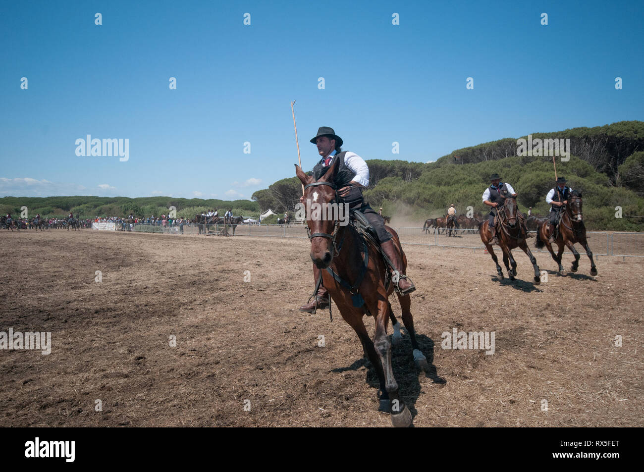 Europe, Italy, Latium, Tarquinia, Game Fair, Italian cowboy, butteri ...