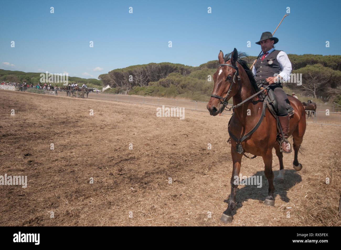 Maremma italy cowboys hi-res stock photography and images - Alamy