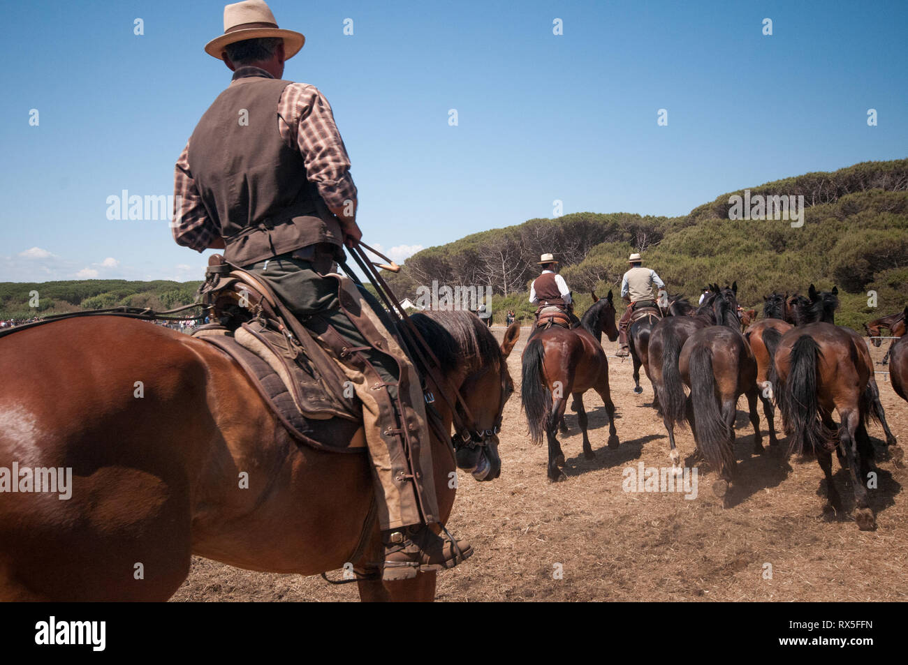 Europe, Italy, Latium, Tarquinia, Game Fair, Italian cowboy, butteri ...
