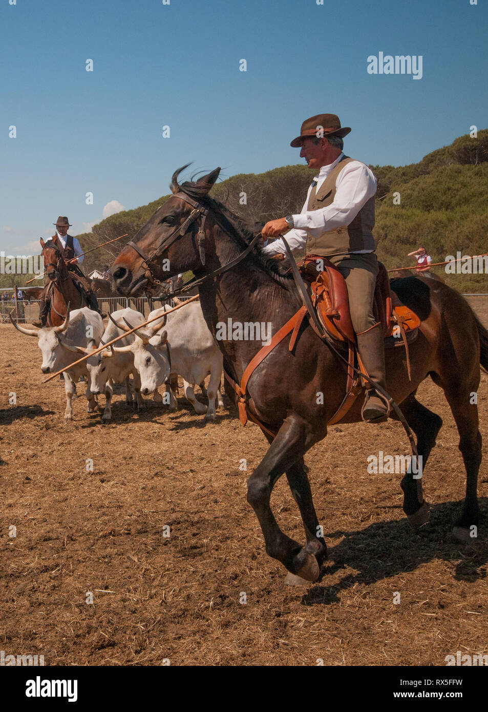 Europe, Italy, Latium, Tarquinia, Game Fair, Italian cowboy, butteri ...