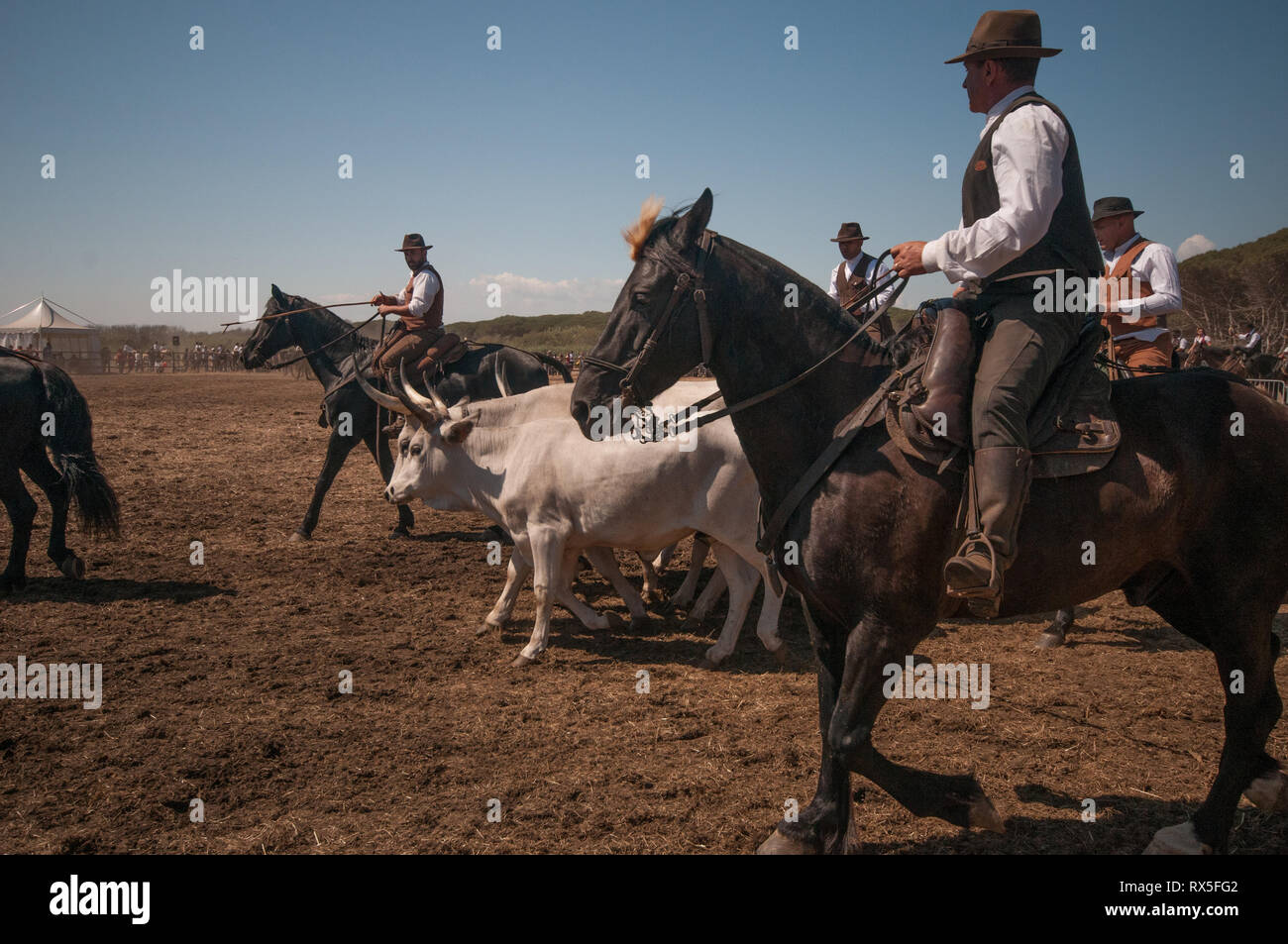Europe, Italy, Latium, Tarquinia, Game Fair, Italian cowboy, butteri ...