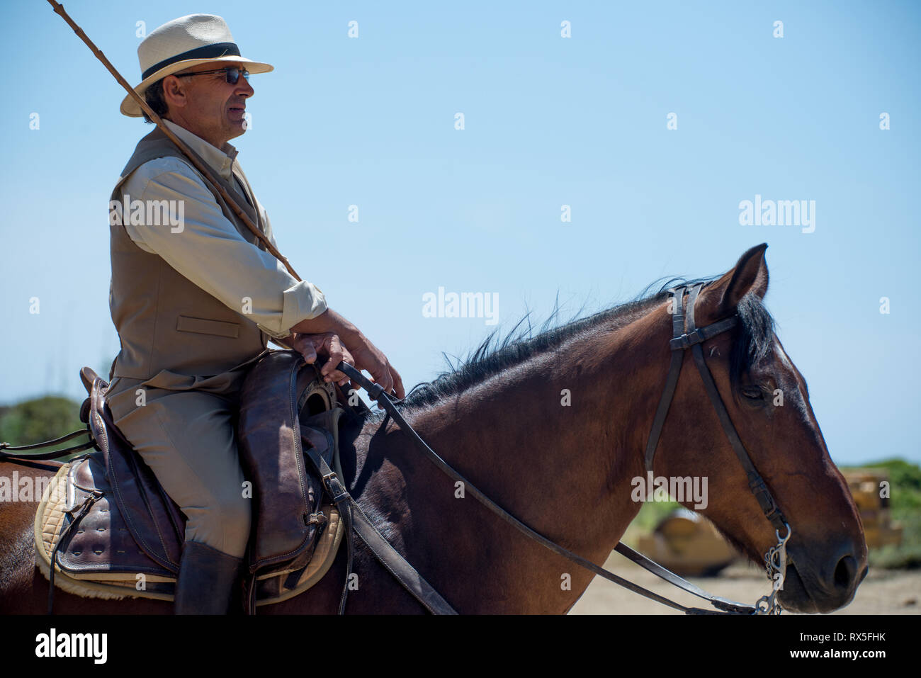 Europe, Italy, Latium, Tarquinia, Game Fair, Italian cowboy, butteri ...