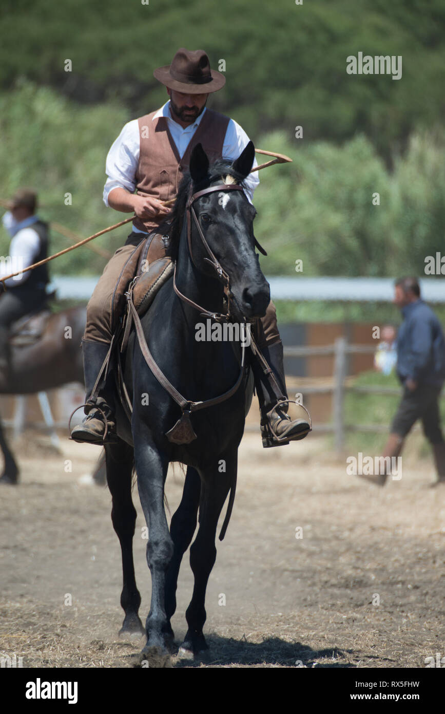 Europe, Italy, Latium, Tarquinia, Game Fair, Italian cowboy, butteri ...