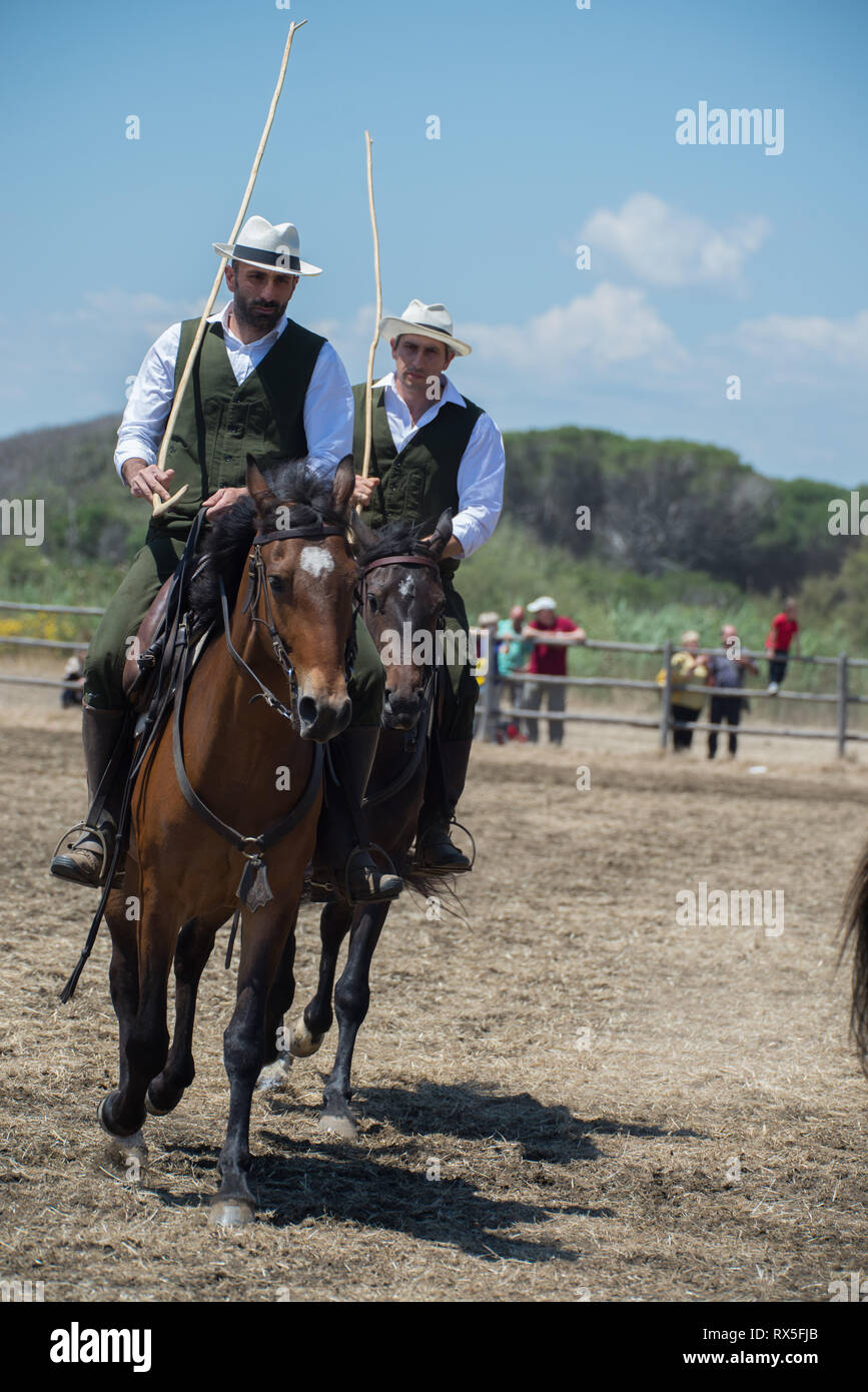 Tarquinia horses hi-res stock photography and images - Alamy
