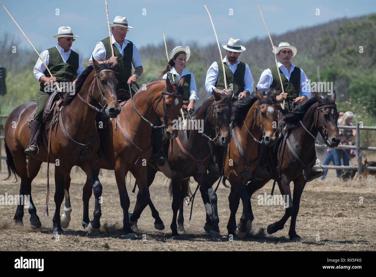 Europe, Italy, Latium, Tarquinia, Game Fair, Italian cowboy, butteri ...