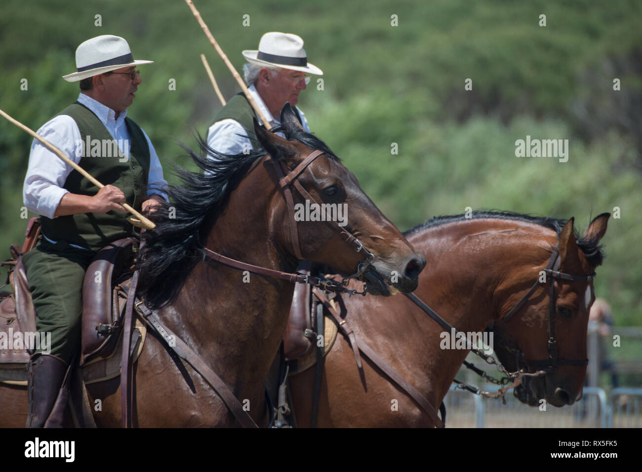 Europe, Italy, Latium, Tarquinia, Game Fair, Italian cowboy, butteri ...