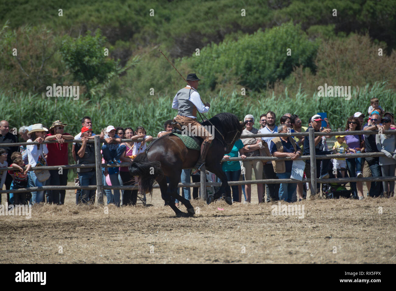 Europe, Italy, Latium, Tarquinia, Game Fair, Italian cowboy, butteri ...