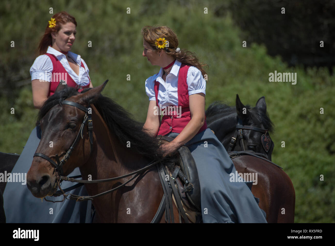 Europe, Italy, Latium, Tarquinia, Game Fair, Italian cowboy, butteri ...