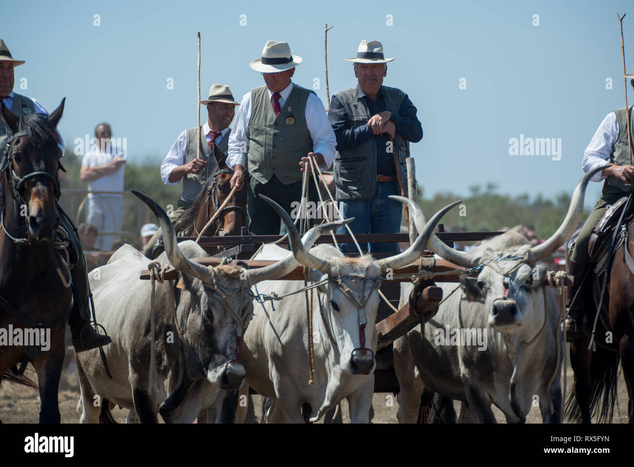 Europe, Italy, Latium, Tarquinia, Game Fair, Italian cowboy, butteri ...