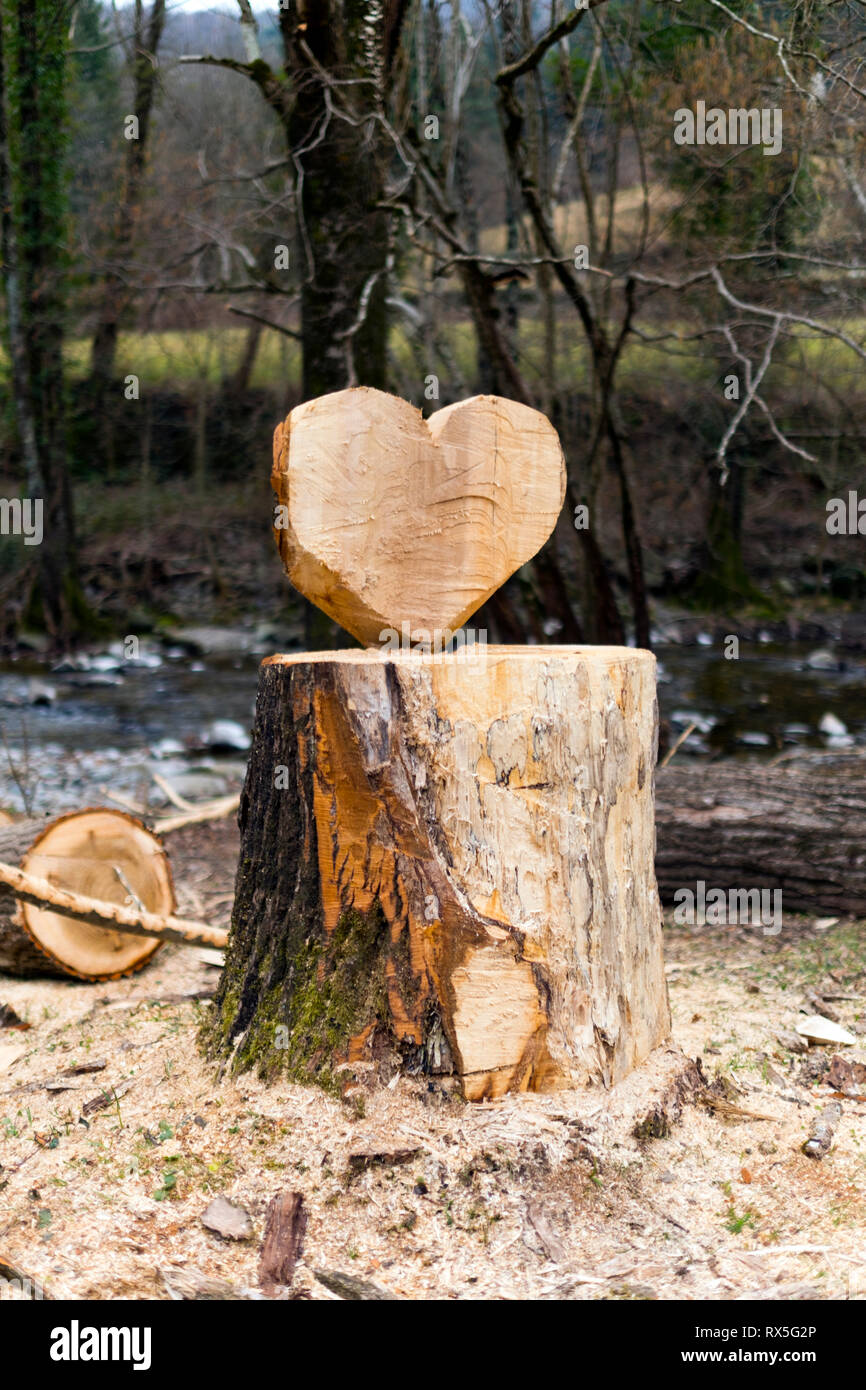 Unique wooden tree carving hi-res stock photography and images - Alamy