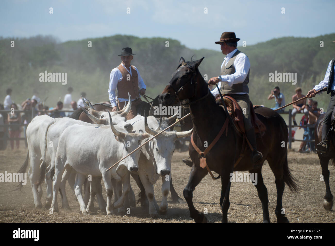 Europe, Italy, Latium, Tarquinia, Game Fair, Italian cowboy, butteri ...
