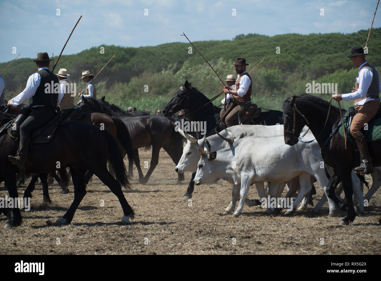 Europe, Italy, Latium, Tarquinia, Game Fair, Italian cowboy, butteri ...