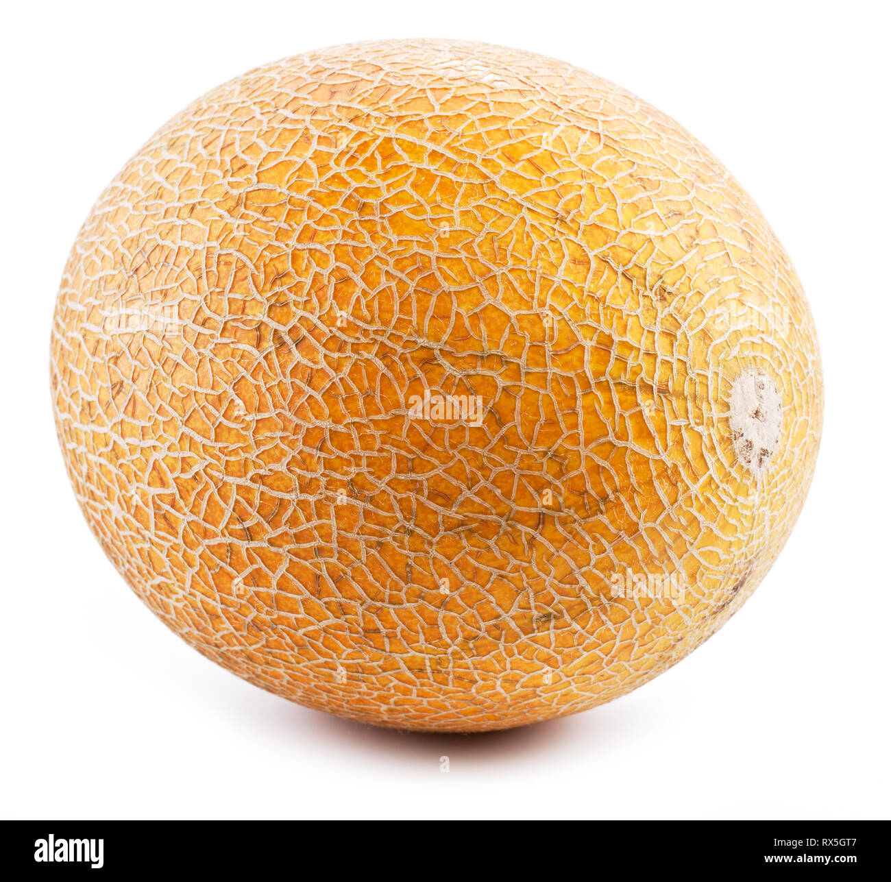 Ripe melon on white background Stock Photo - Alamy