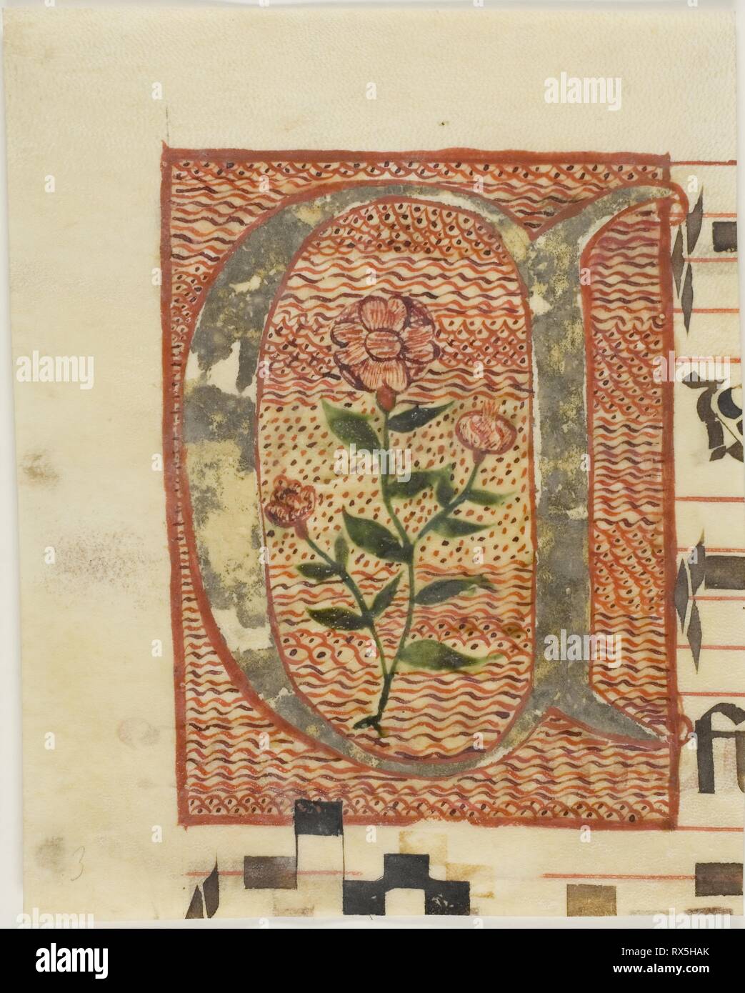 Decorated Initial "A" with Flower from a Manuscript. European. Date ...