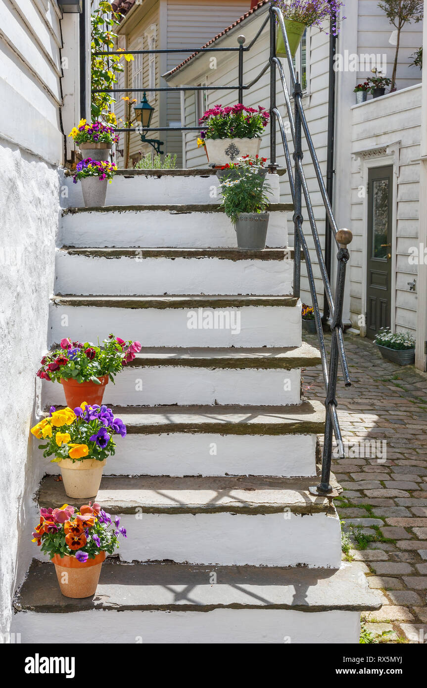 Ancient staircase flower pots hi-res stock photography and images - Alamy