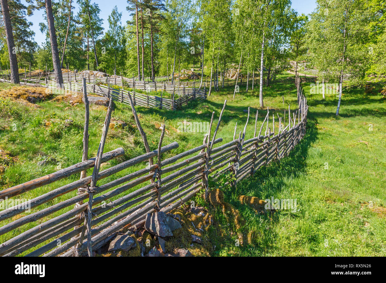 Wooden fence in a forest pasture Stock Photo - Alamy