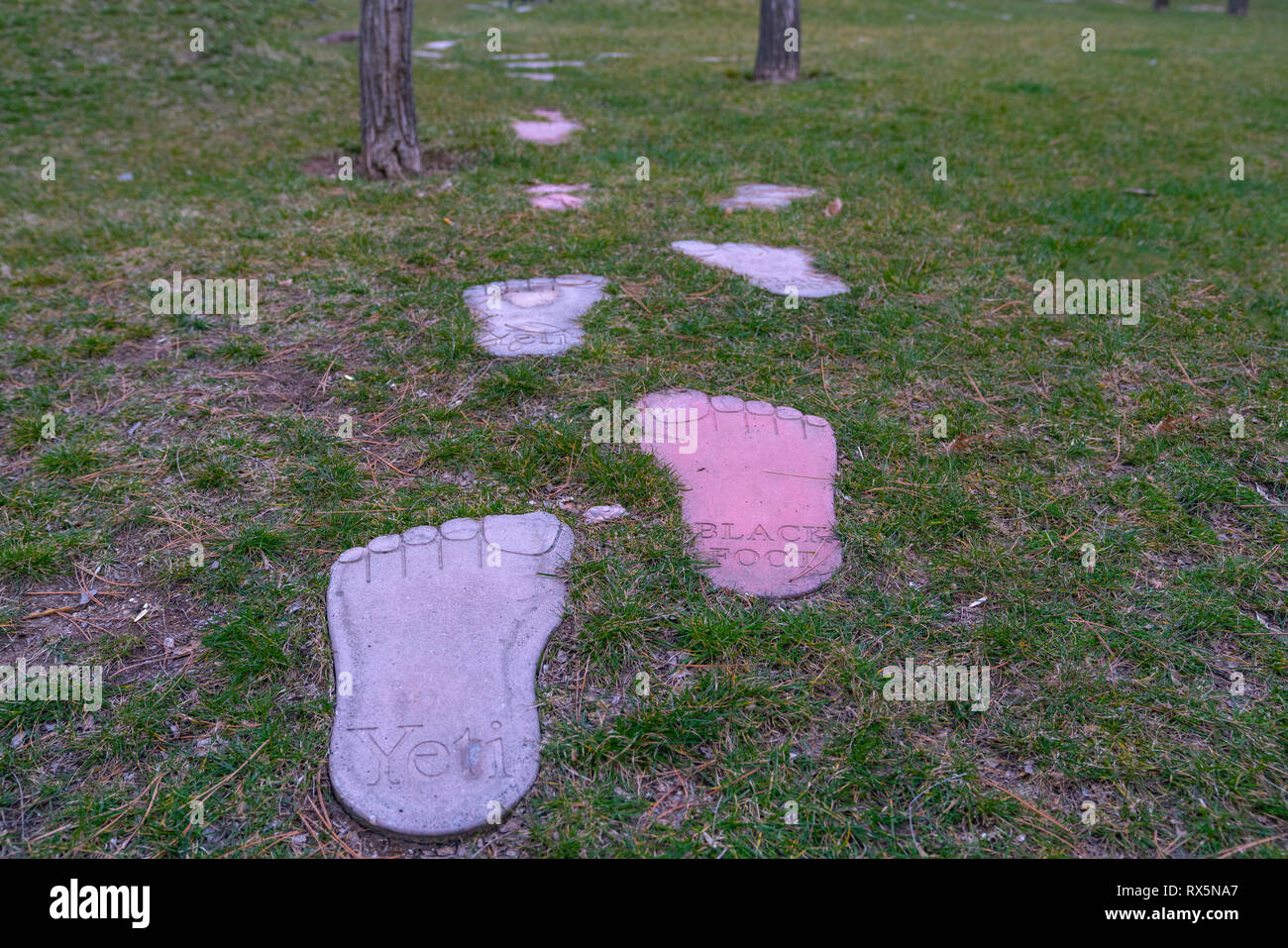 Turkey foot grass hi-res stock photography and images - Alamy